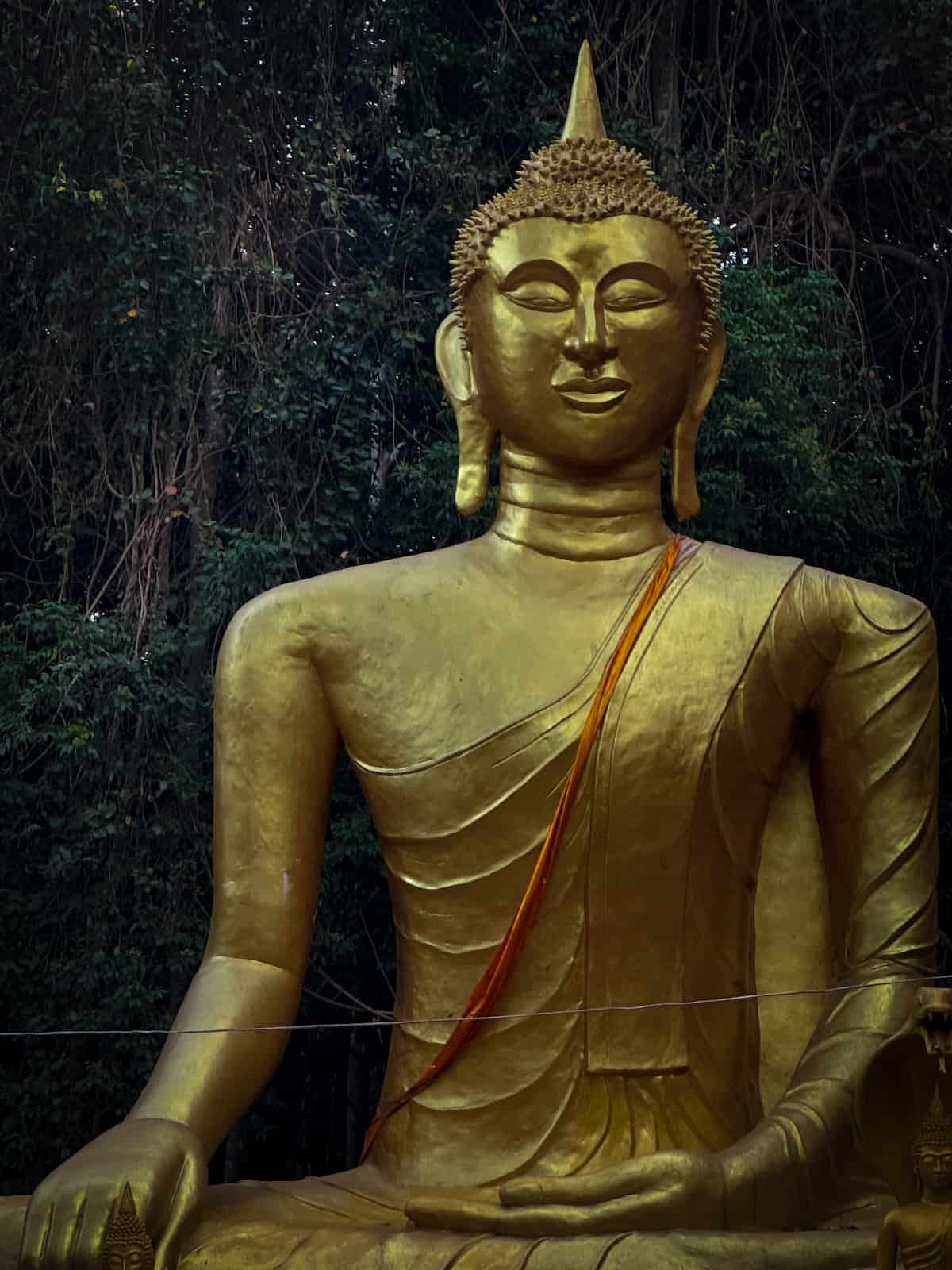 Laos - Boucle de Paksé, le plateau des Bolovens - Alice Voyage