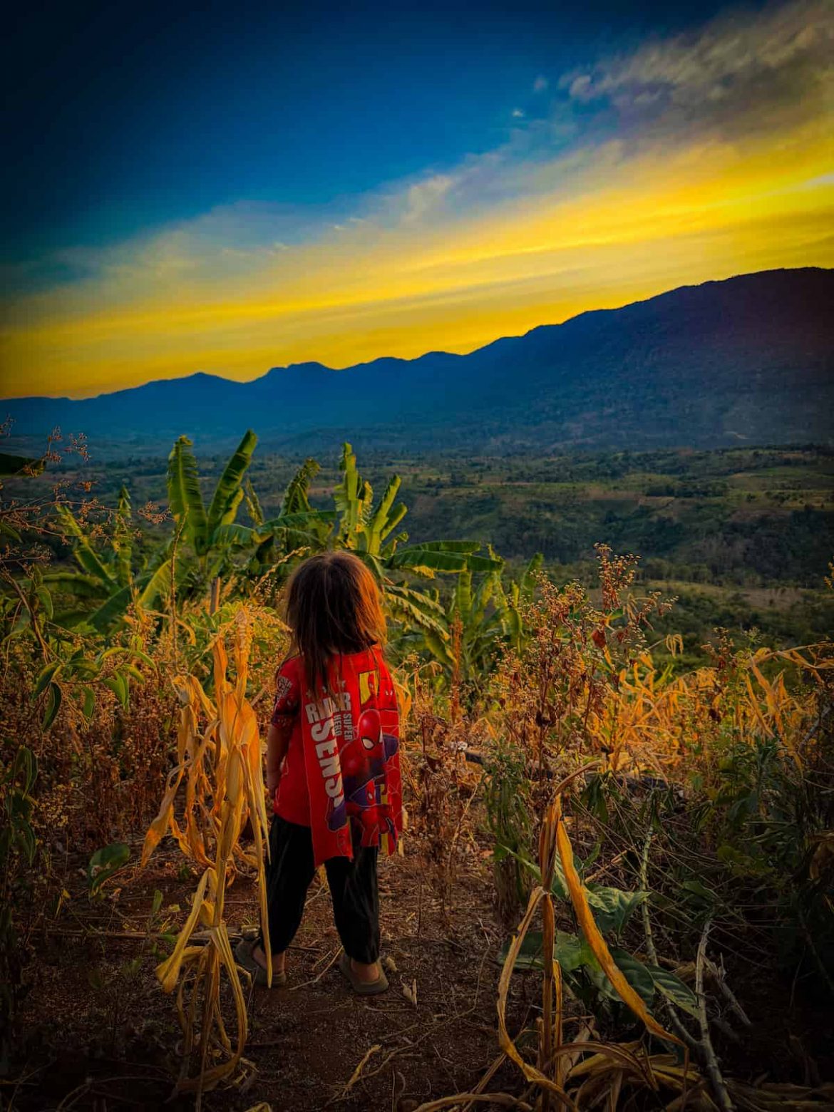 Laos - Boucle de Paksé, le plateau des Bolovens - Alice Voyage